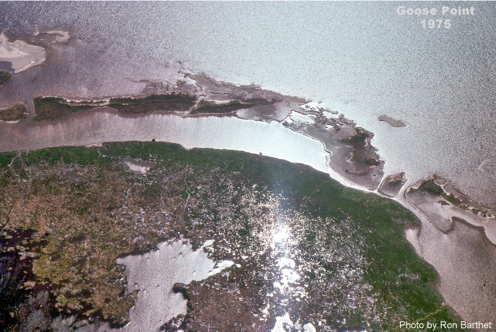 Tammany Family: Goose Point, Looking Towards Causeway 1975