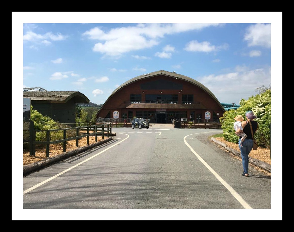 Bluestone Day Two: Blue Lagoon, Park Life and Ducklings | Then there ...