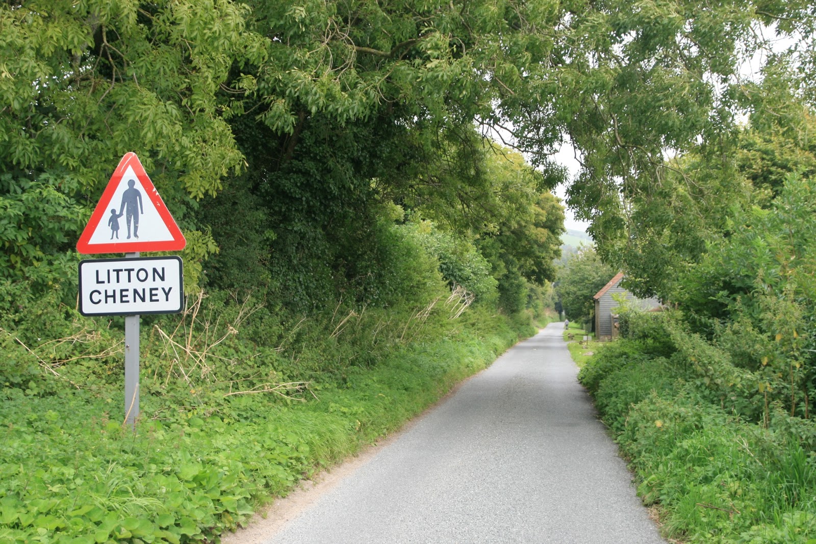 Walking Dorset's gridsquares: Litton Cheney to Askerswell - 17th August ...