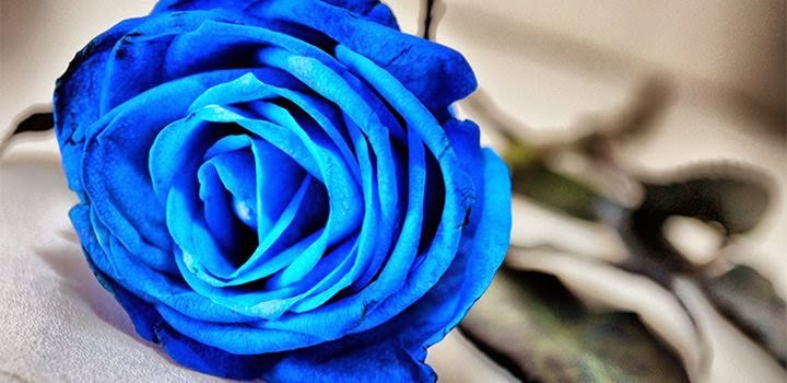 La Guarida del Libro: La "Rosa Azul" ¿Qué es? ¿Qué novedades nos traen?