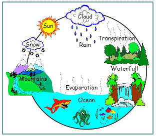 Business Station: Economic cycle vs water cycle. do they look the same?