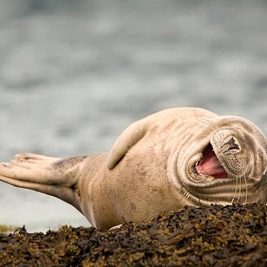 Fotos bonitas y fotos tiernas: ¡Qué divertido!