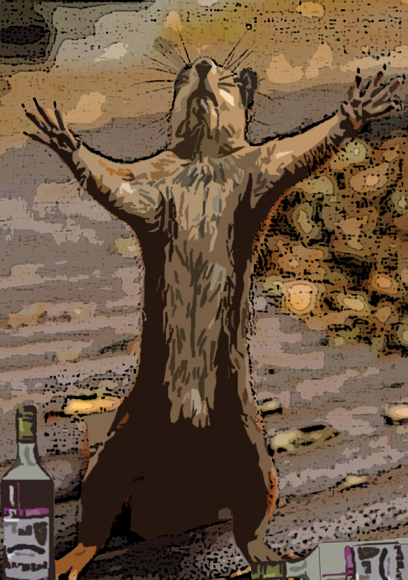 О наравима веверица