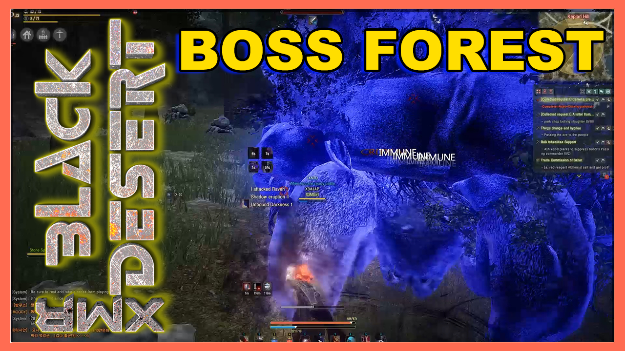 Black Desert - Sumonando Boss Forest | XMR GAMES