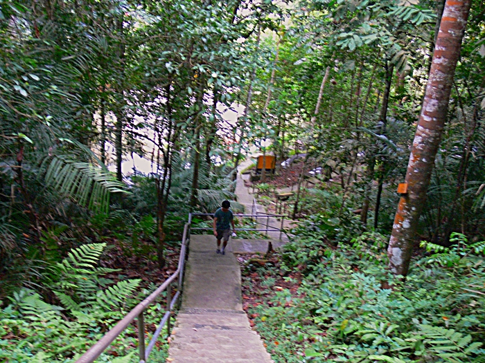 Foto Memori Ku: Istimewanya Hutan Lipur Soga Perdana , Batu Pahat