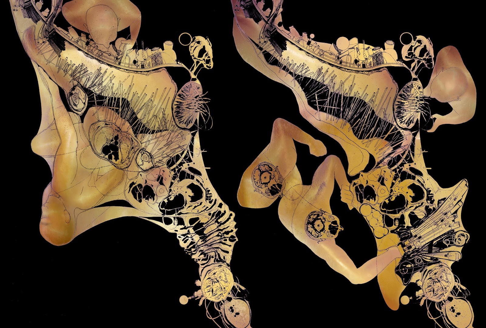 Marcos Cruz Architect: In-Wall Creatures