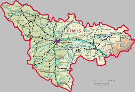 Manastiri Romanesti: Judetul Timis