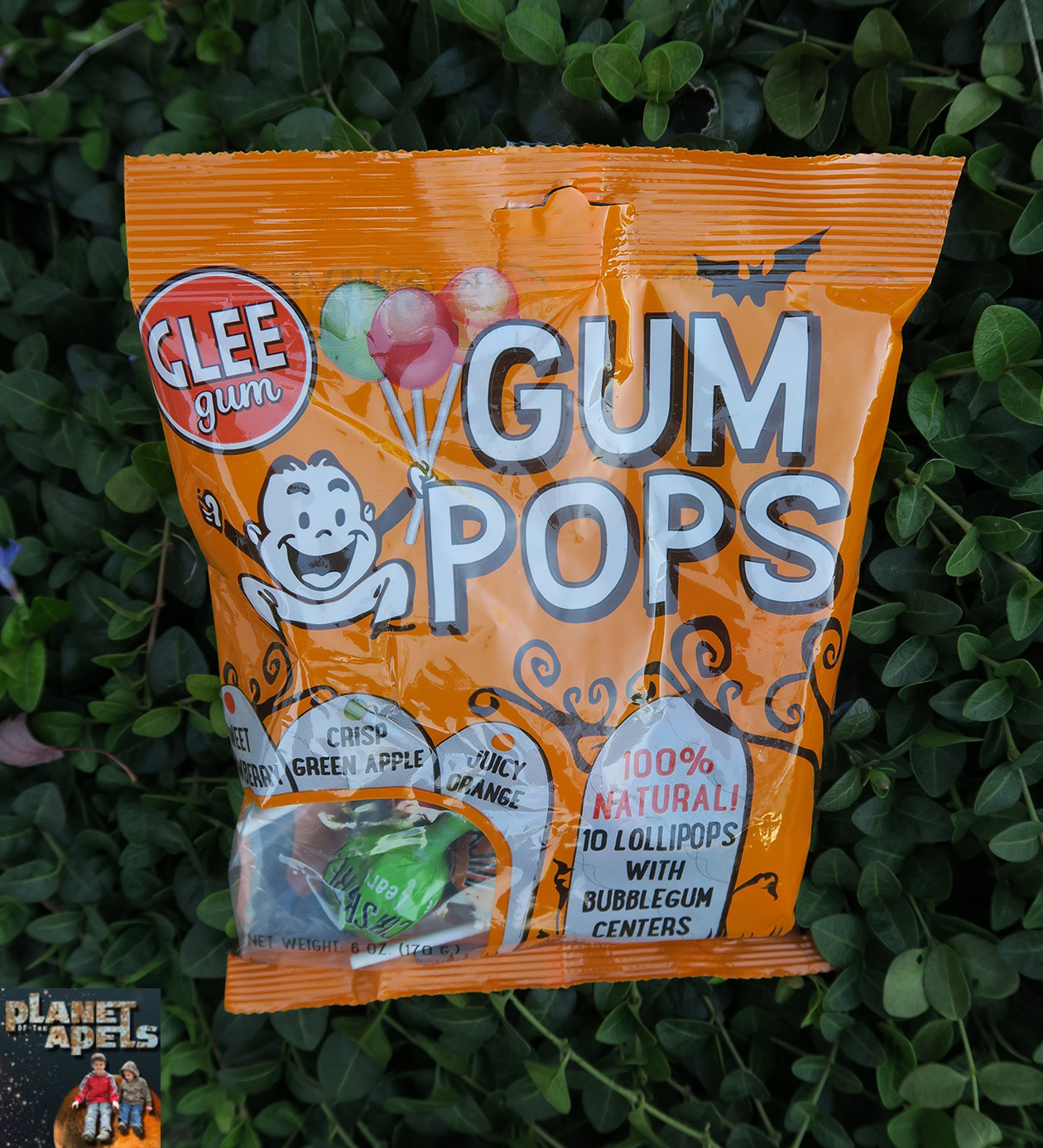 An Apel a Day: Glee Gum - Gum Pops Giveaway