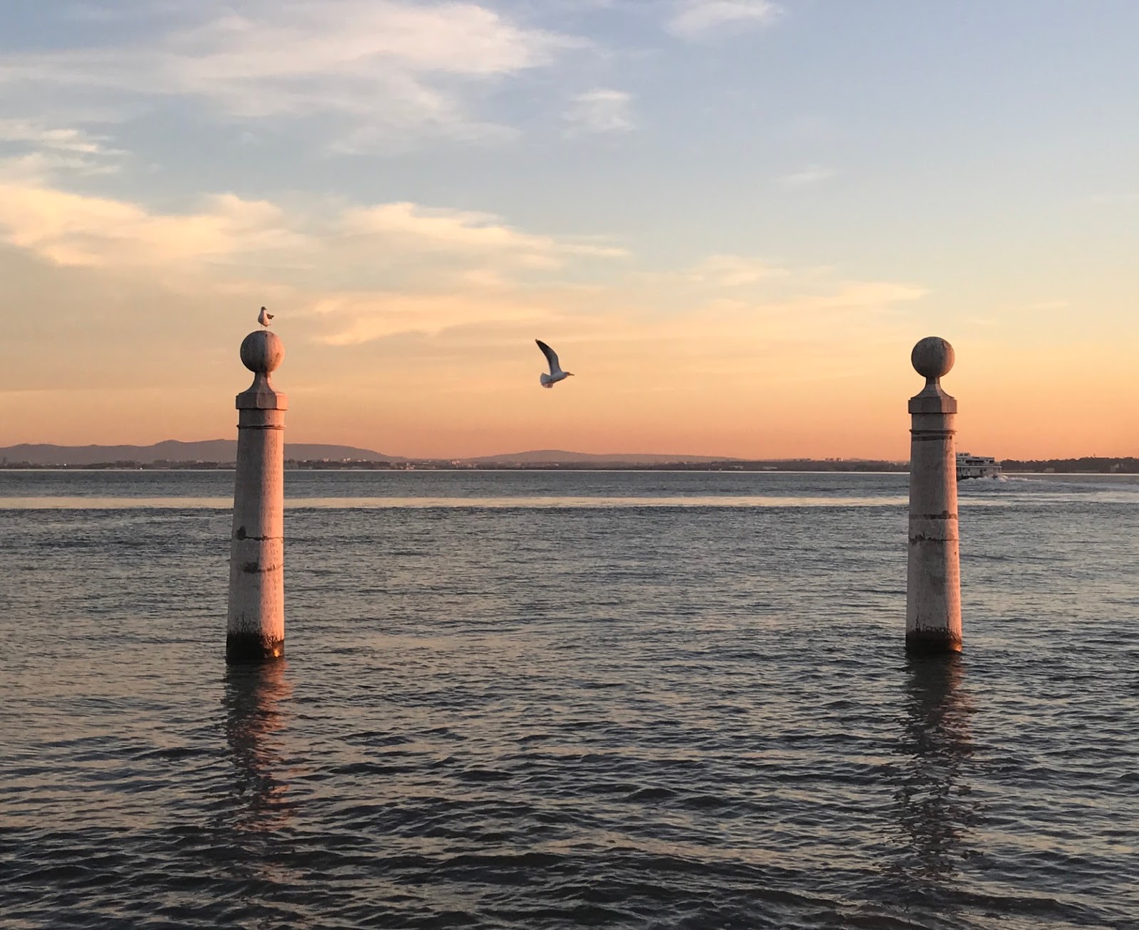 Há dias que são tão cómodos e perfeitos...