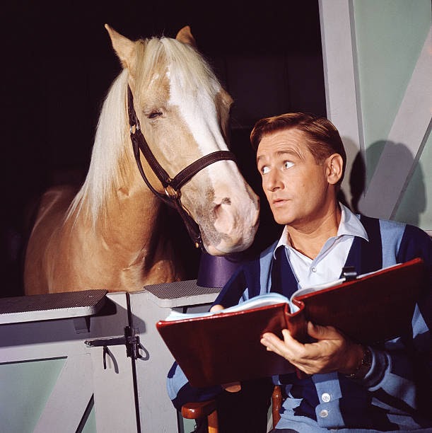 “1000 Recuerdos”: MR. ED