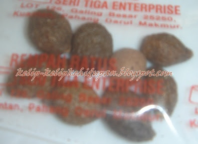 Kelip-kelip kehidupan...: Khasiat bunga kembang semangkuk