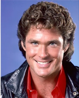 TV BANTER : David Hasselhoff: The Life and Times of "The Hoff"