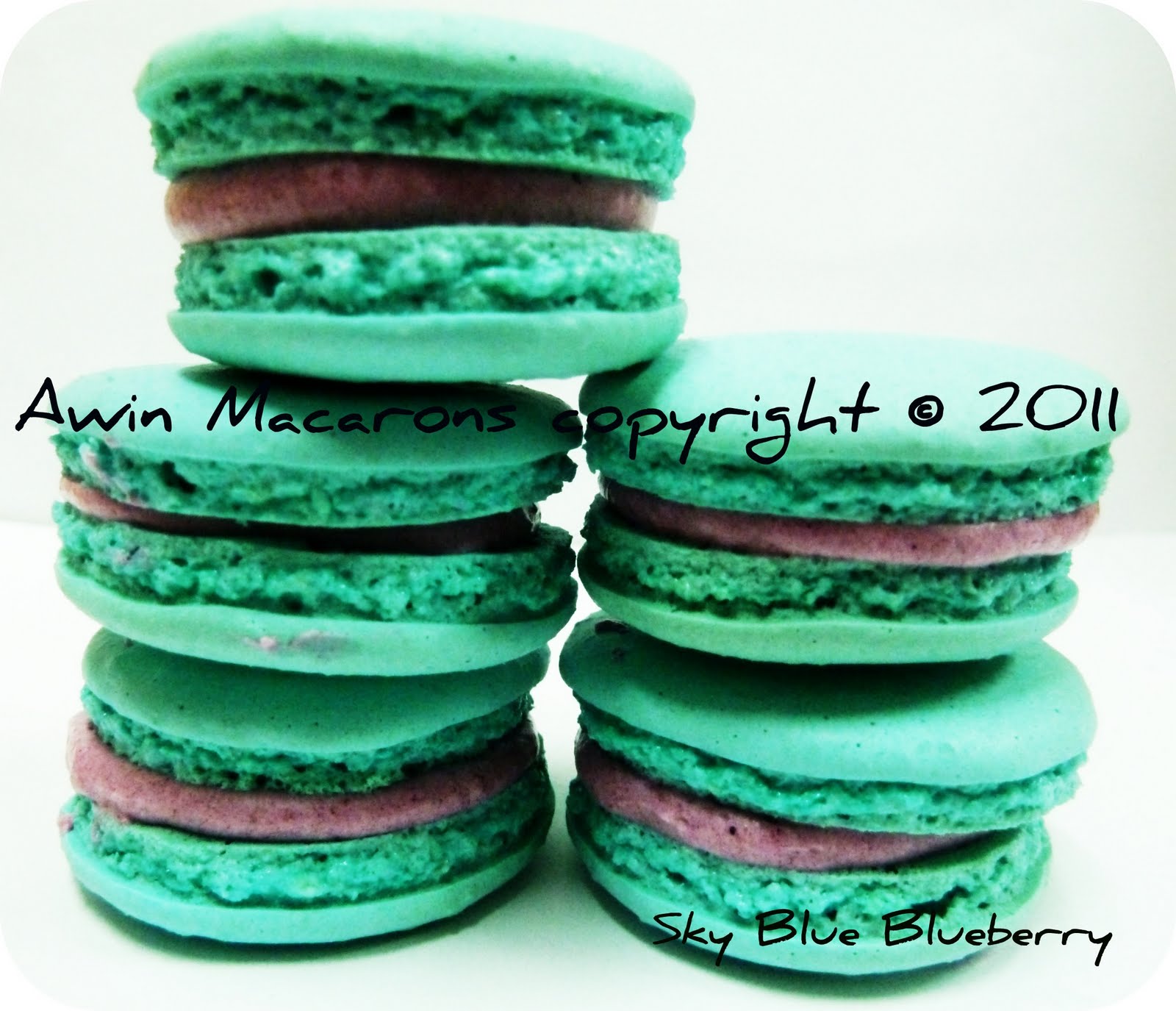 Awin Macarons: Flavor Macarons