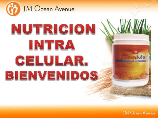 JM Ocean Avenue: AlphaMeta