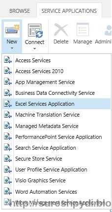 Excel Service in SharePoint 2013 - Things to share
