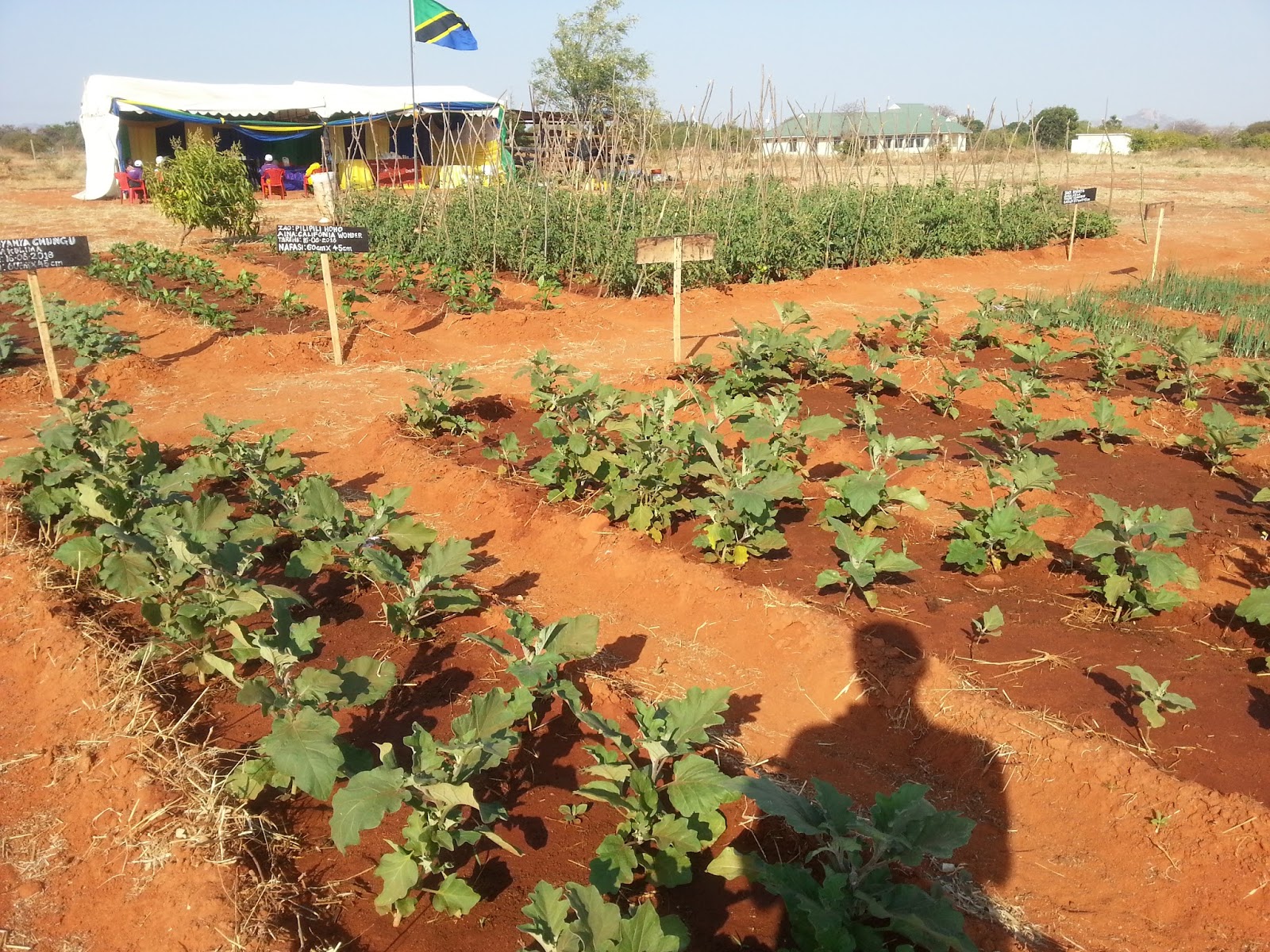 CHEMBA DISTRICT COUNCIL-DODOMA: August 2016