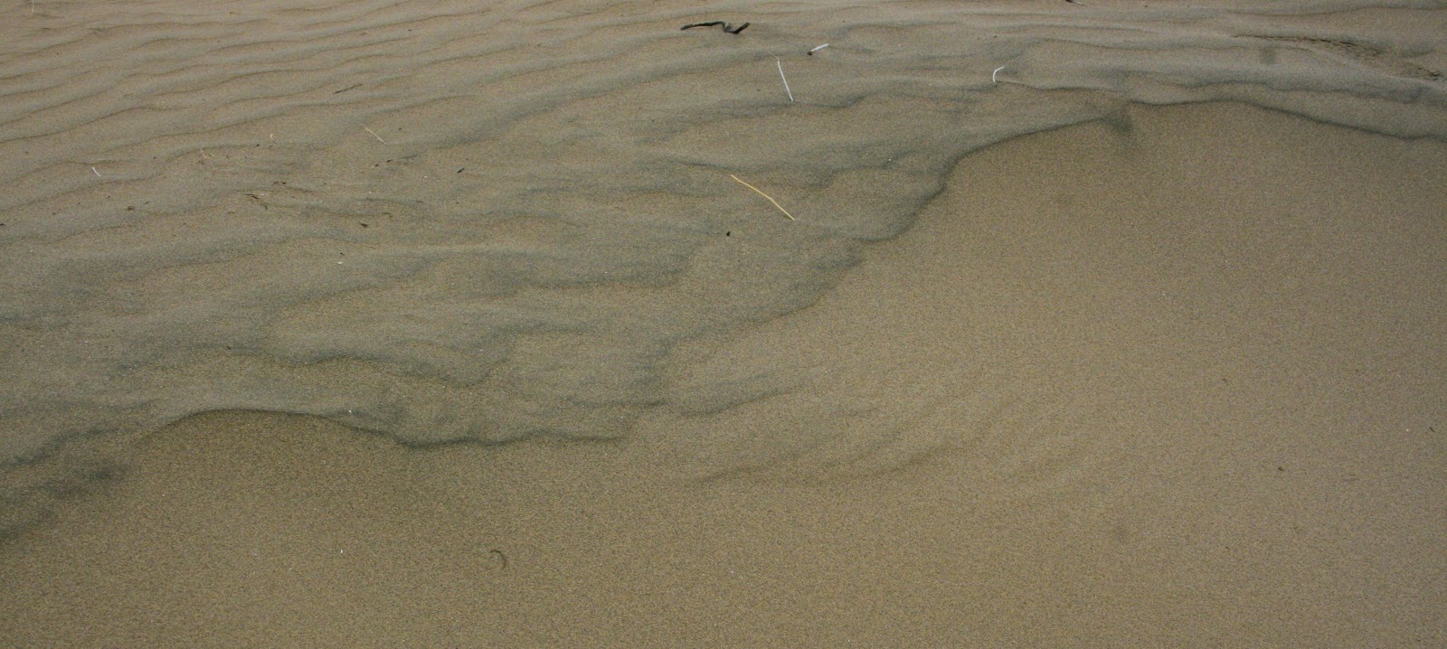 Walking Arizona: Shifting Sands
