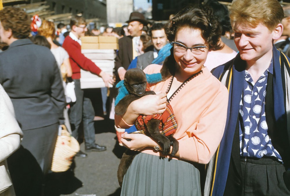 What Did the United States Look Like in the 1950s? Just Check Out This ...