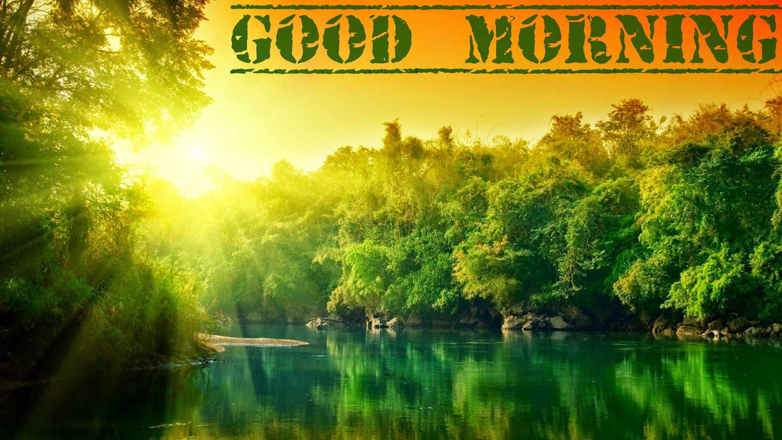 Pigeon Good Morning Cards, Best Morning HD Photos | Festival Chaska