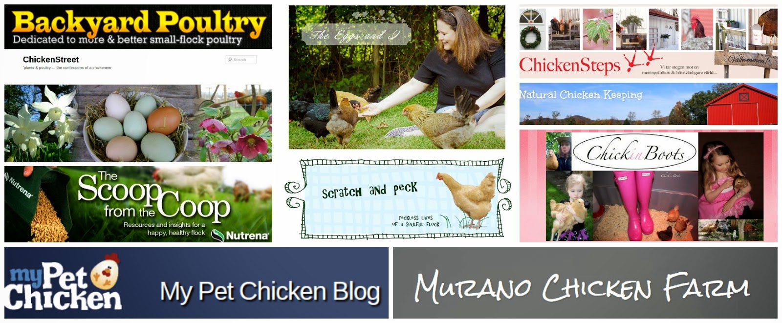 Chcken Coop: My Top Ten Favorite Chicken Blogs The Best of the Best