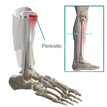LA CIENCIA DEL CORRER
