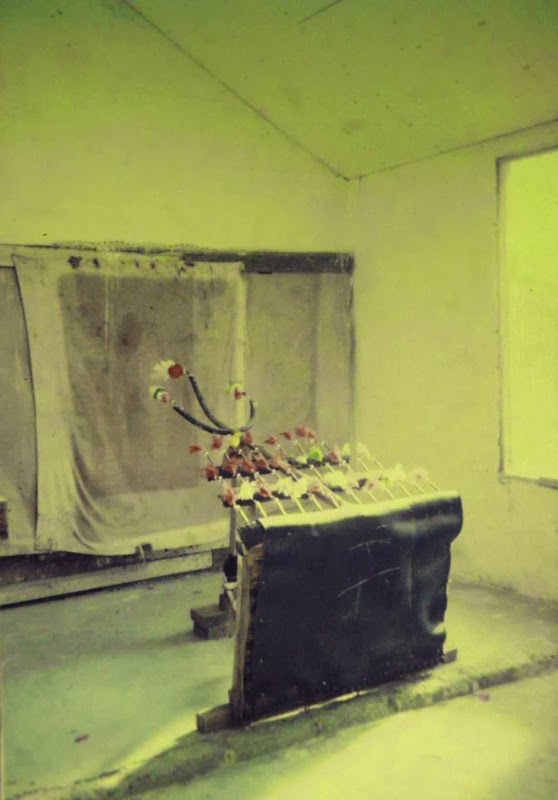 HEEMKUNDIGE SCHUTTERSKRING: Liggende Wip (oude foto's & affiches)