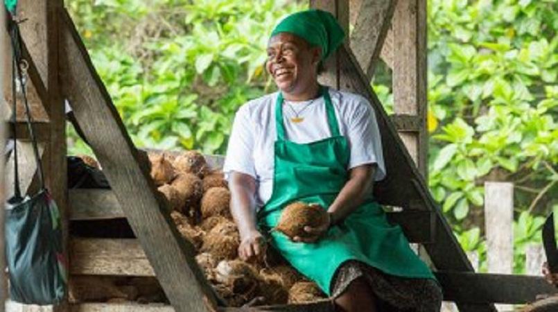 Coconut oil raises livelihoods in Solomon Islands - Papua New Guinea Today