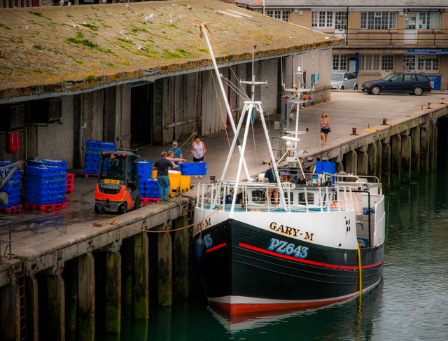 Through the Gaps! - Newlyn Fishing News: Newlyn Fish Festival countdown ...