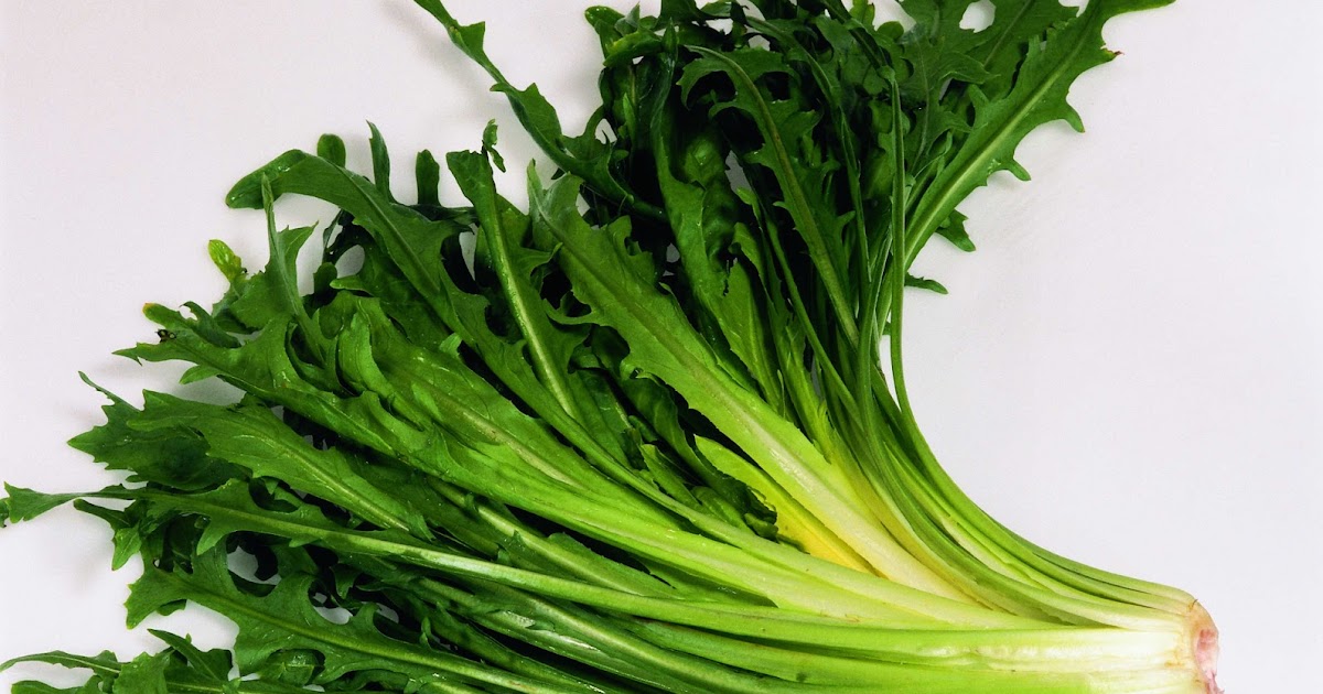 Reyno Gourmet: ¿Qué comemos hoy? Achicoria, la gran desconocida