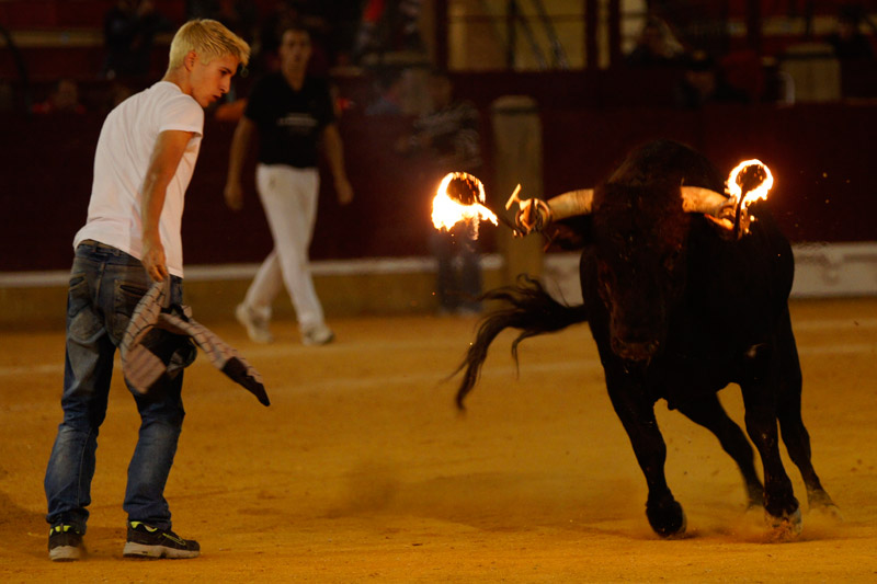 andandoporbogota: LOS TOROS EMBOLADOS ANDINOS