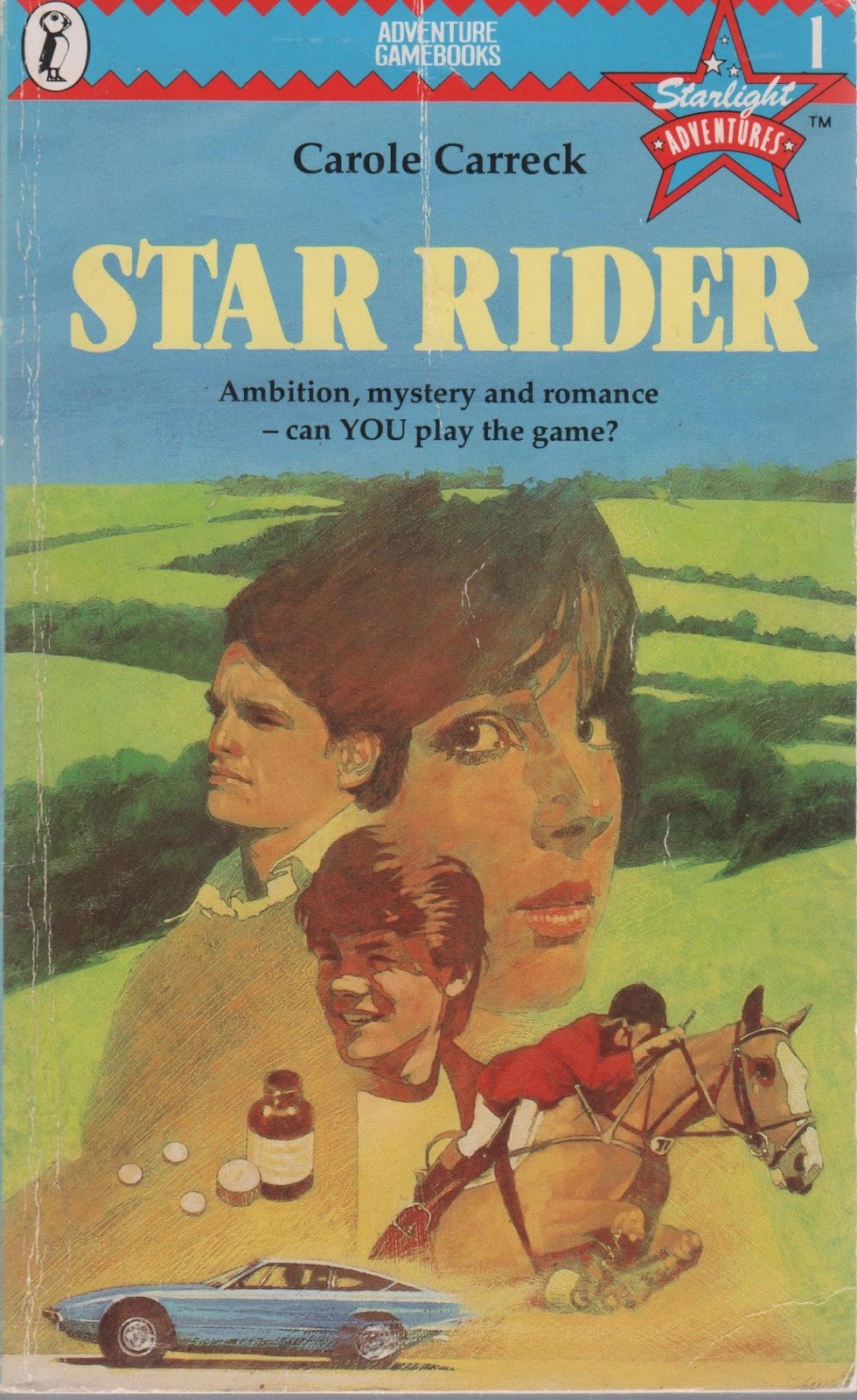The Pony Book Chronicles: Star Rider (1985) or Choose Your Own ...