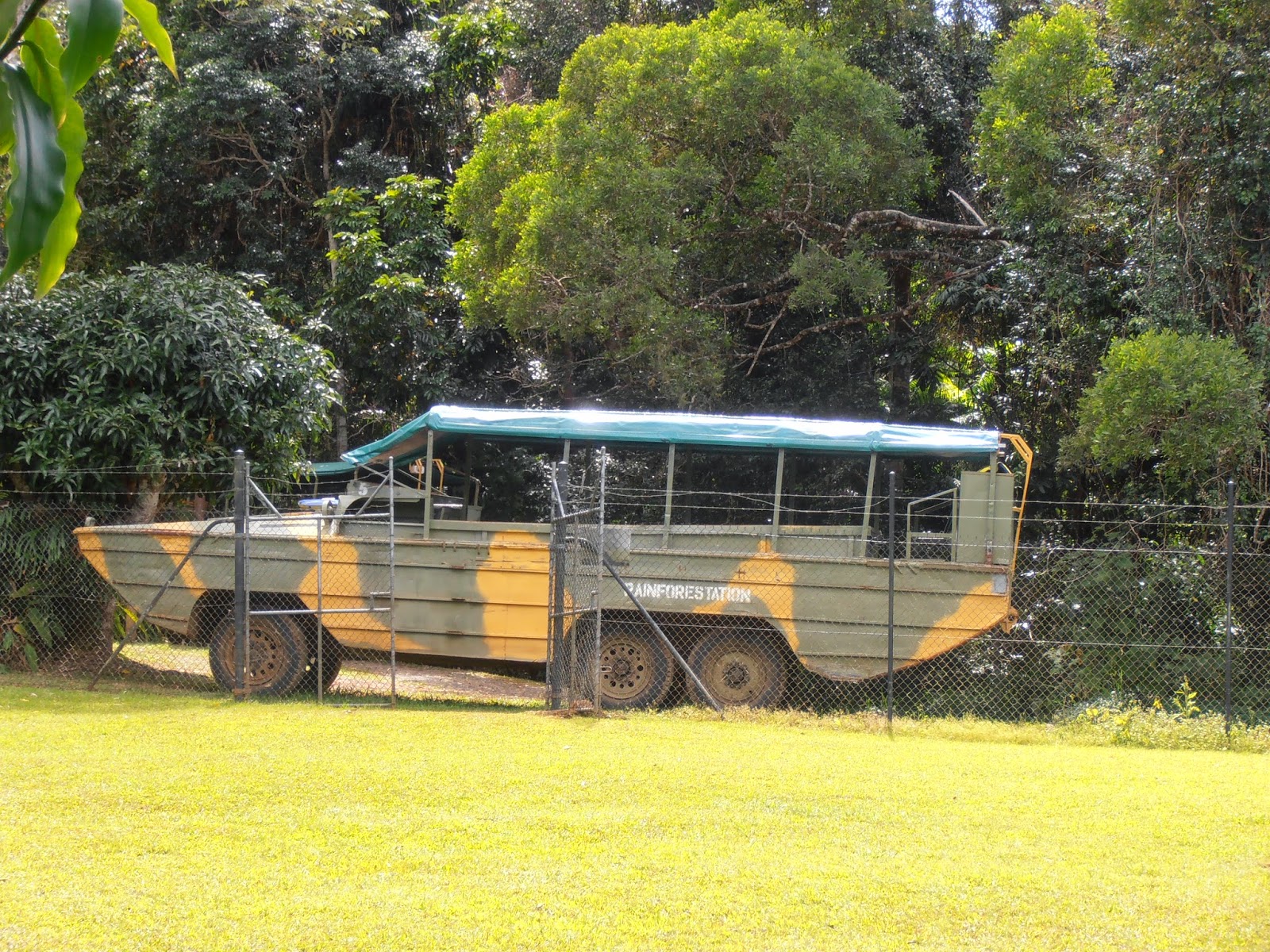 Australia VI: Rainforestation Nature Park (Kuranda): impresionantes ...