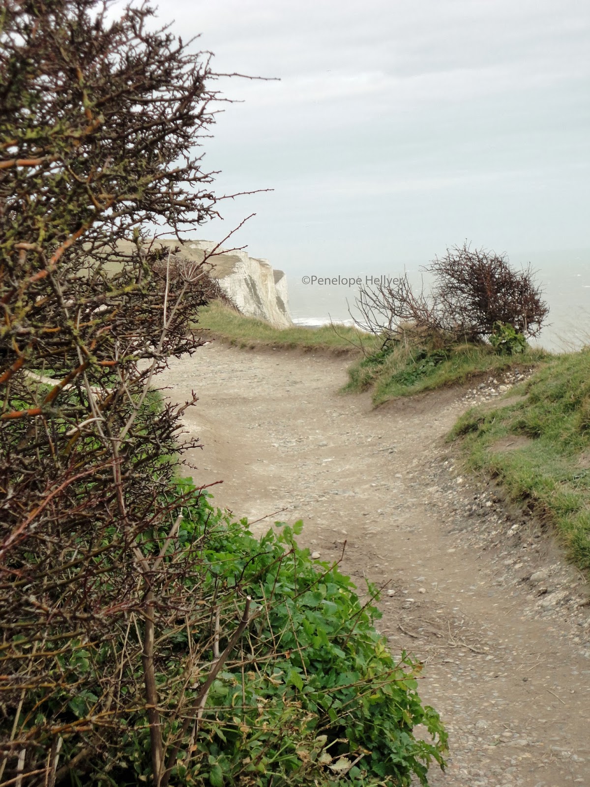 Penelope S Hellyer - Author: A Well Trodden Path