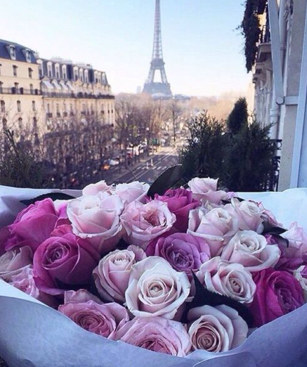 ZAHRA'S FUTILITIES: Paris... fleurs, fleur, flowers, flower, paris ...