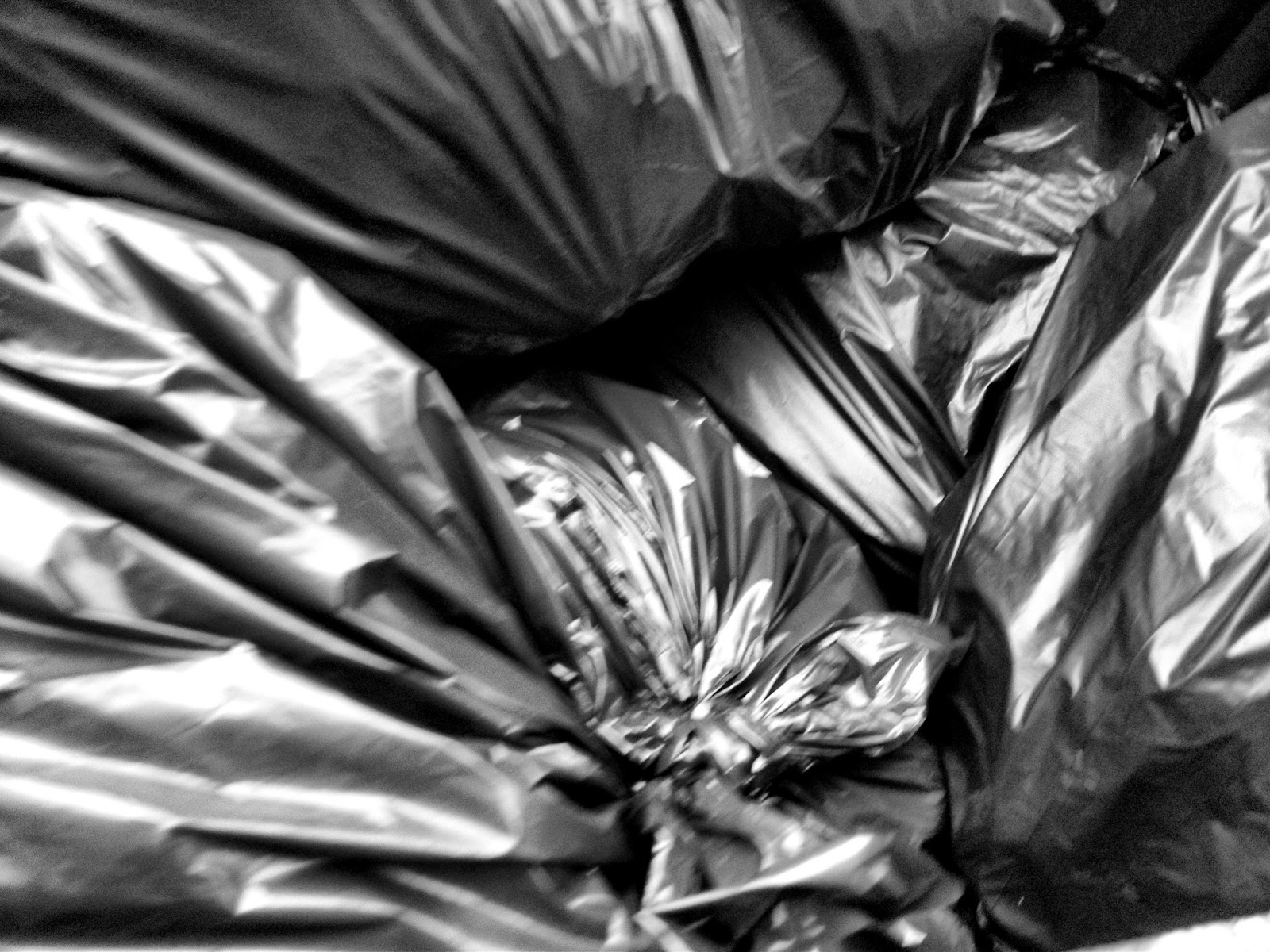 Andrew Lucas Photography