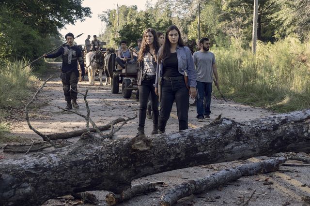 Terry Tyler: Review #TheWalkingDead S9:12 GUARDIANS #TWDFamily #TWD