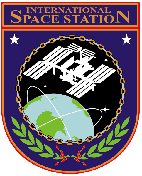 The Voice of Vexillology, Flags & Heraldry: International Space Station ...