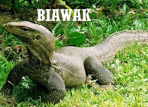 Anim Agro Technology: BIAWAK