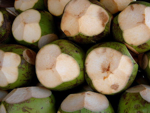 DEBATE NOTICIAS: Sabesp aposta na casca do coco contra mau cheiro