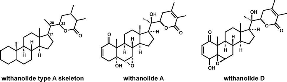 modern steroid science: Partial Synthesis of Withanolide A From ...