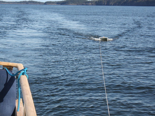 Plastic in the Marine Environment: Sampling Overview