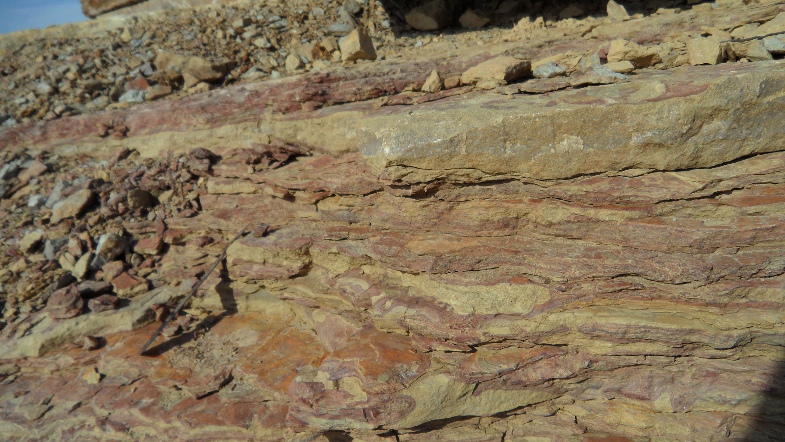 Fossils and Geology of Lanark County, Ontario: Mud cracks, Liesegang ...