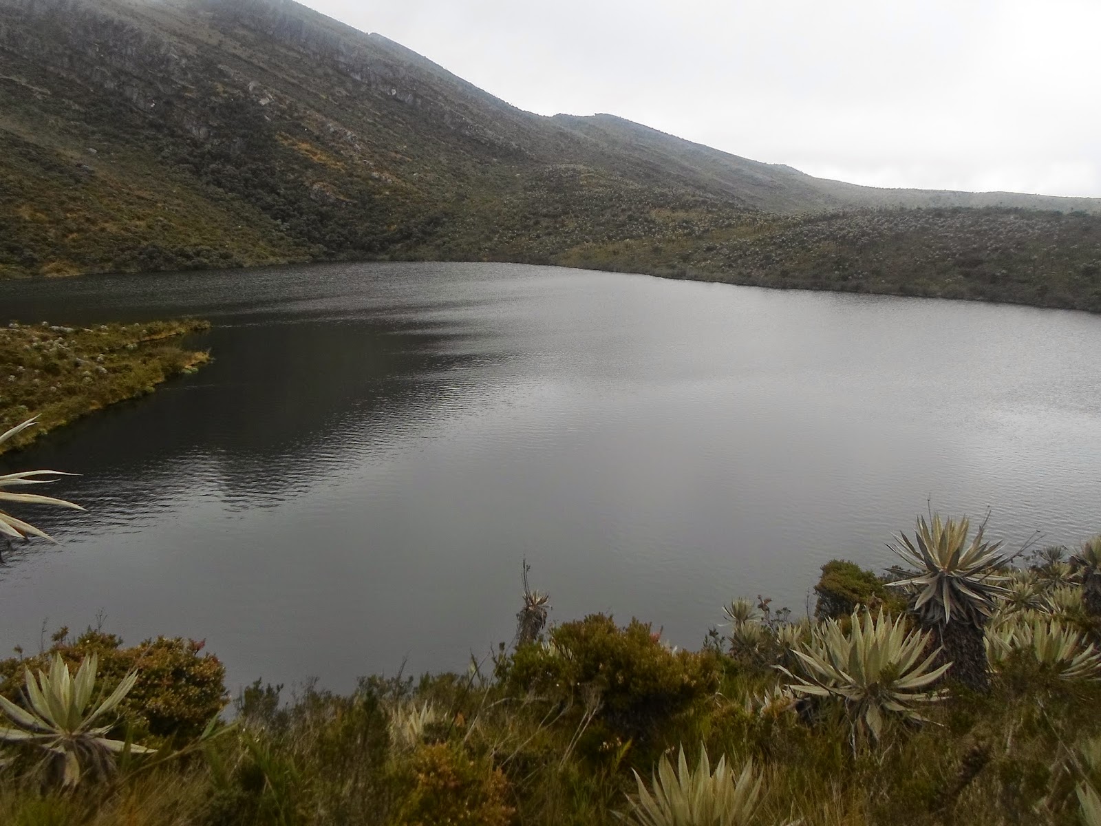 ECOING: PARQUE NACIONAL NATURAL CHINGAZA