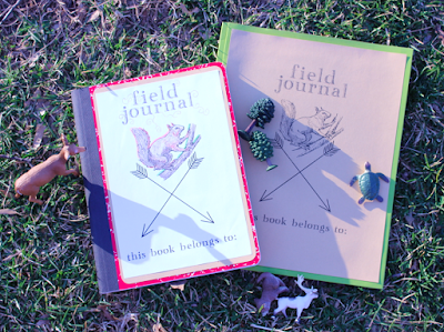 Different Dog - A Simply Beautiful Life: Wild Kratts Field Journal ...