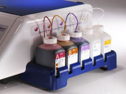 especialistarepremed: PREVI™ Color Gram