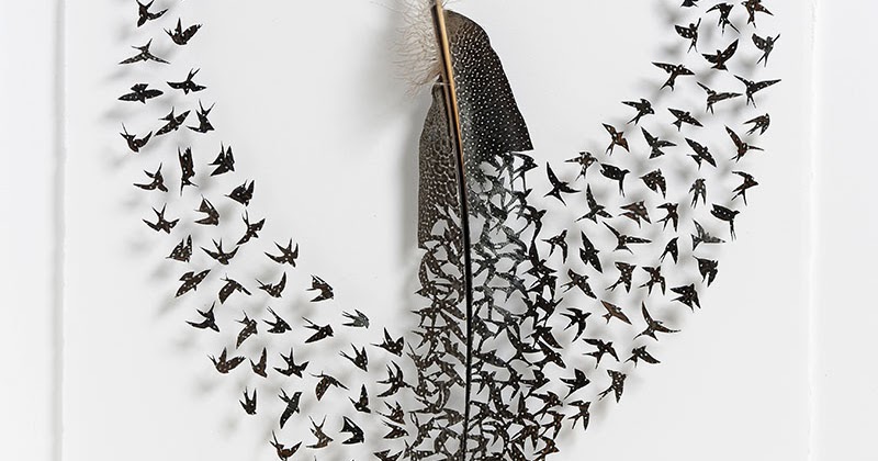 Elemeno P: Chris Maynard