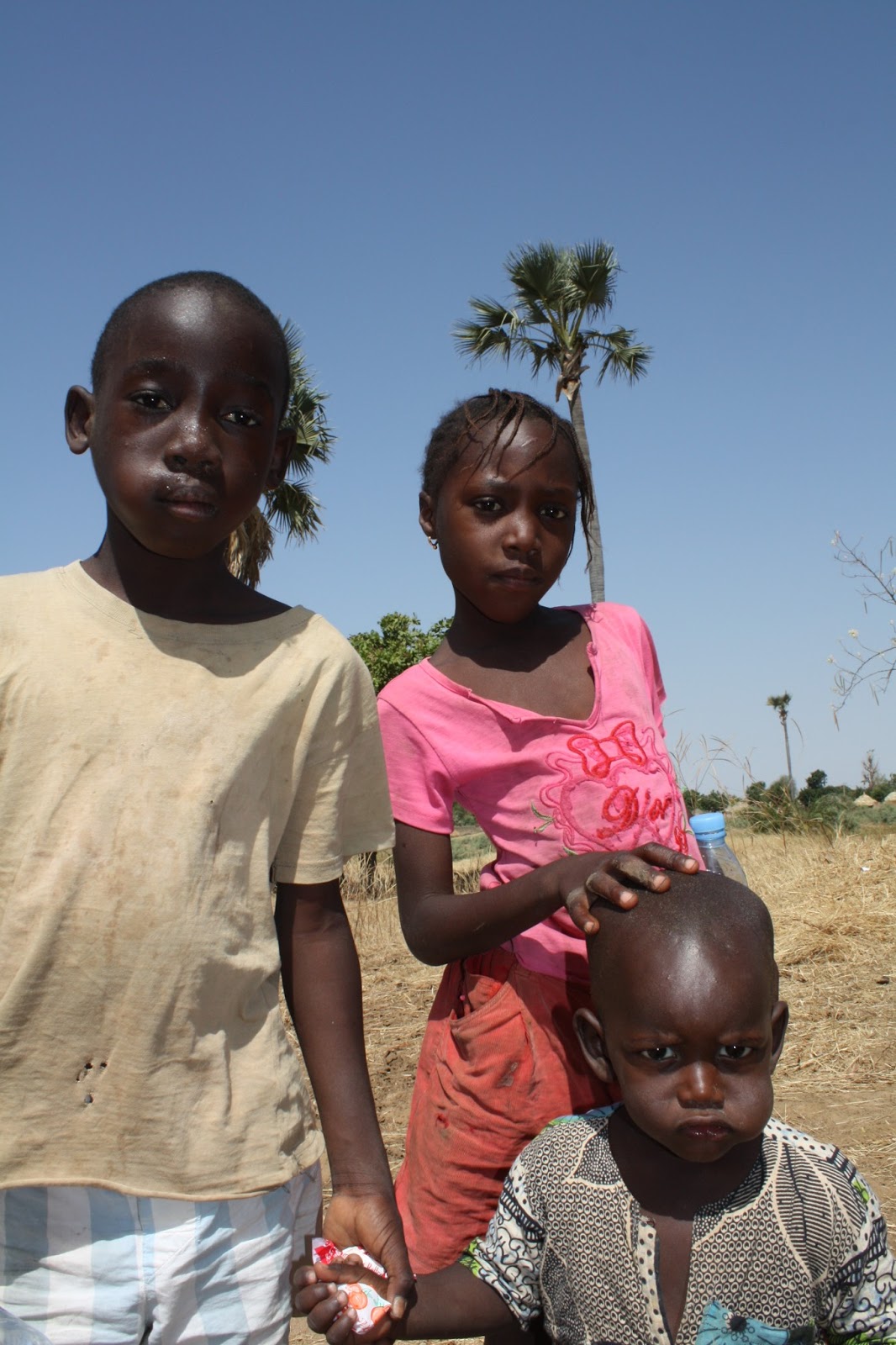Mi Universo Viajando: PARQUE NATURAL SINE SALOUM SENEGAL