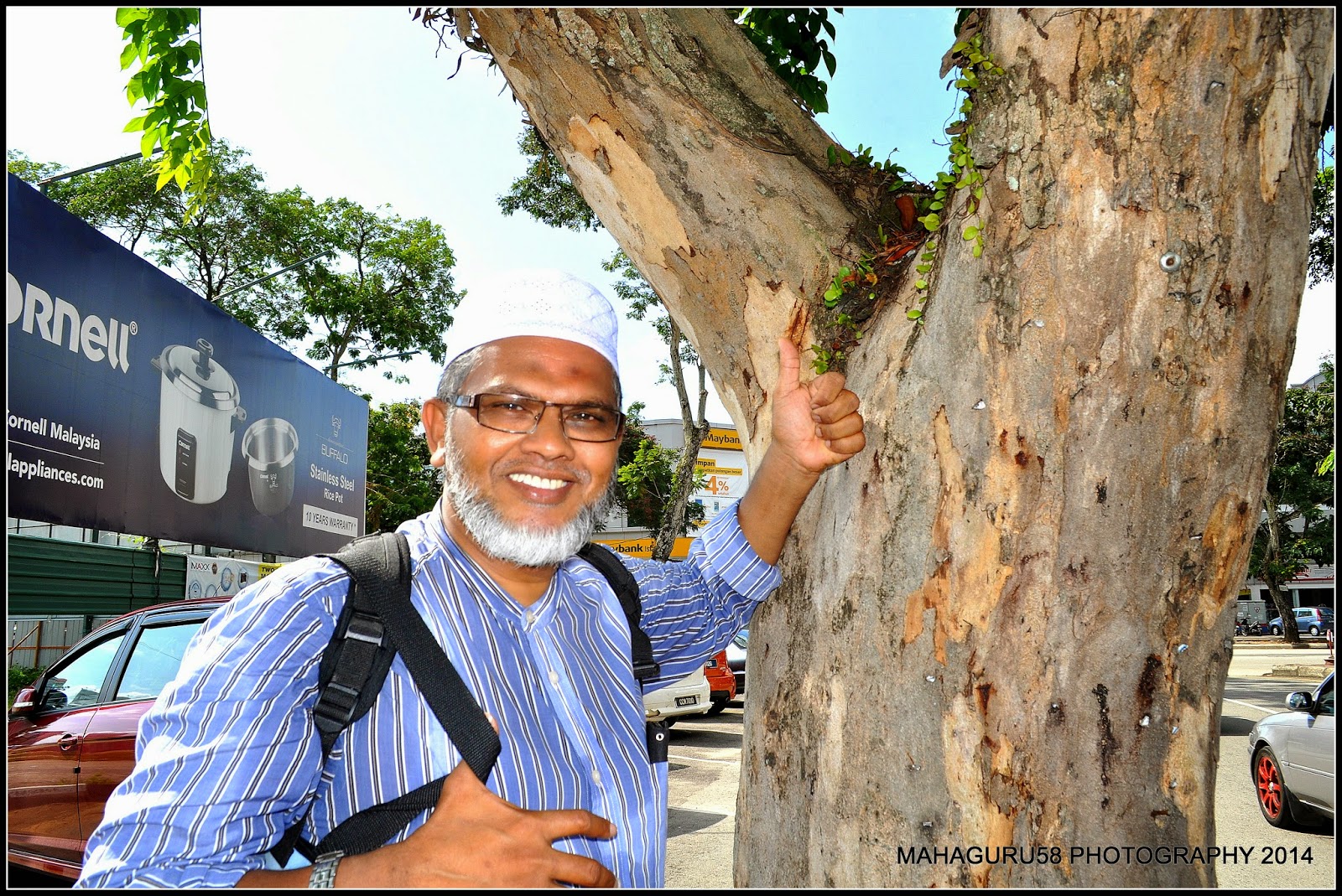 MAHAGURU58: DBKL needs to plant more Angsana Trees to replace the ...