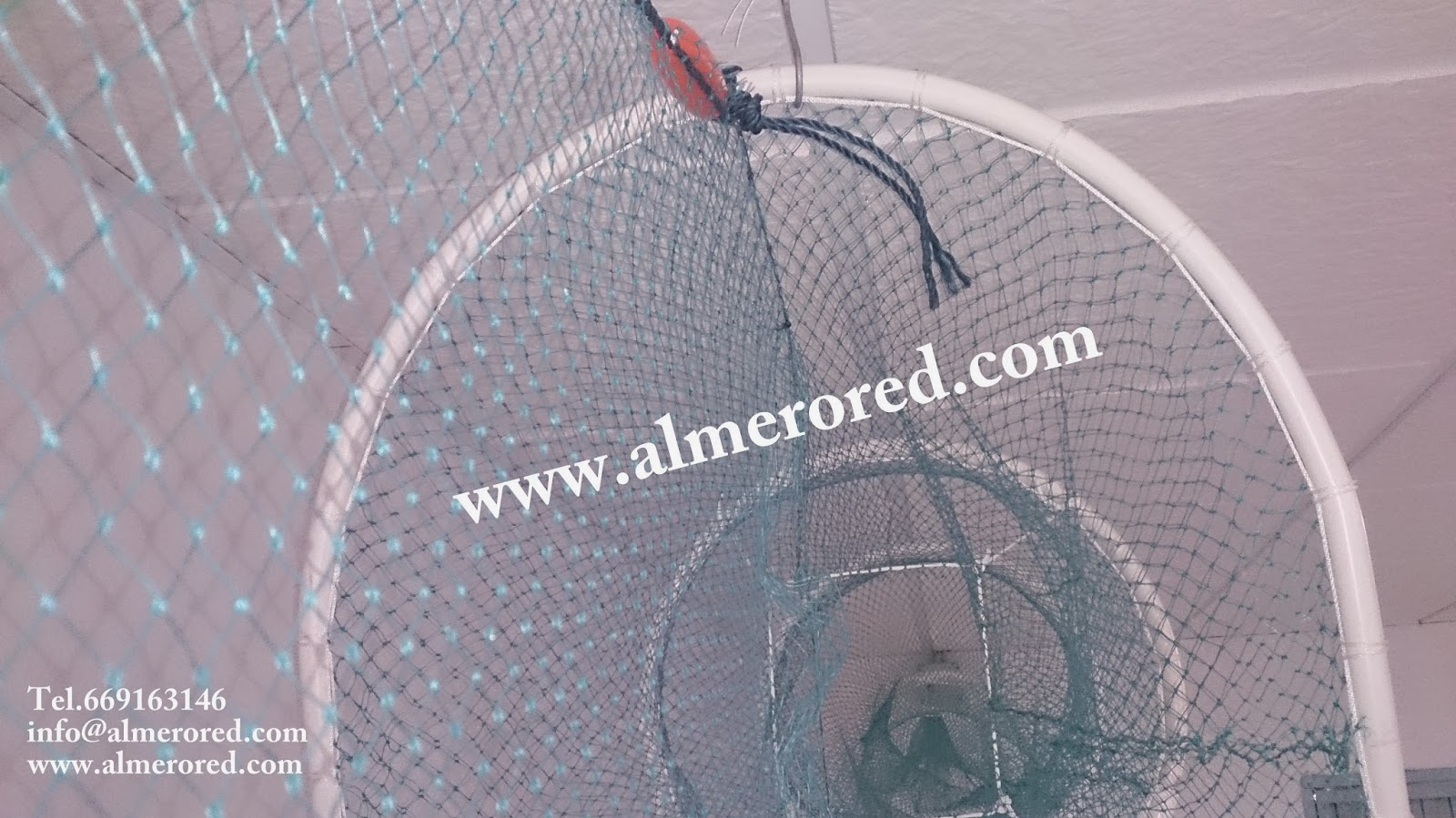 NASAS ANGUILERAS - Almerored