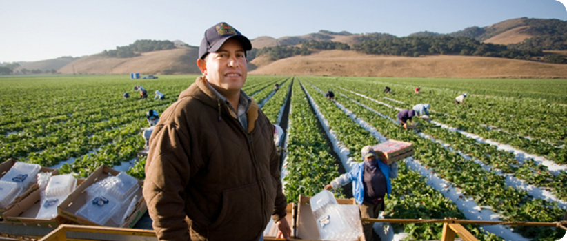 Who is bryguy1955: Who Owns The Earth?